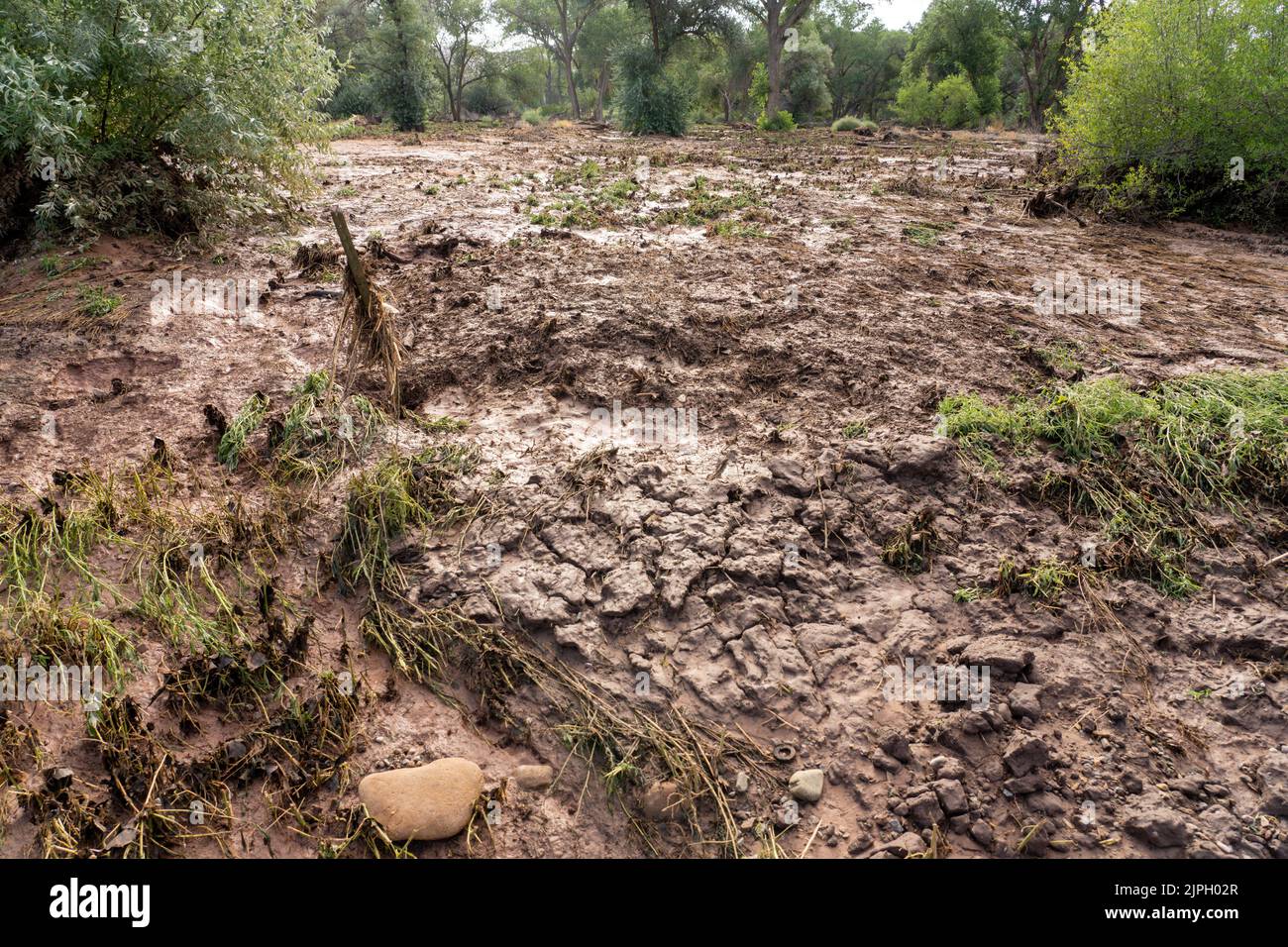 Damage caused by flash flooding after vegetation loss upstream after a ...