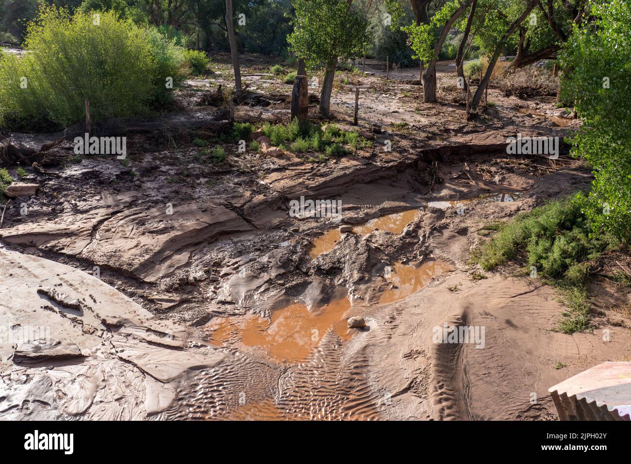 Severe erosion damage caused by flash flooding after vegetation loss ...