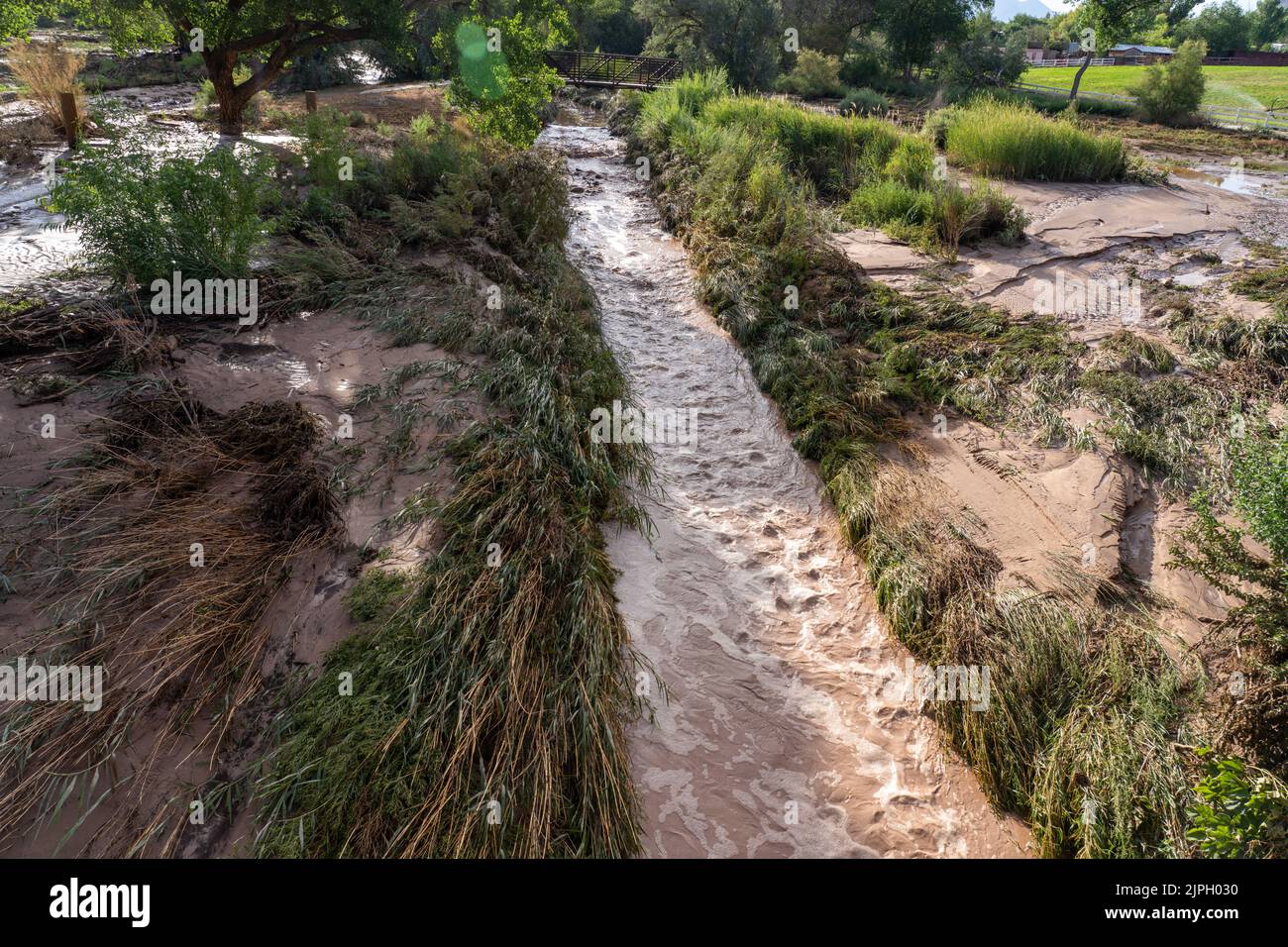 Damage caused by flash flooding after vegetation loss upstream after a ...