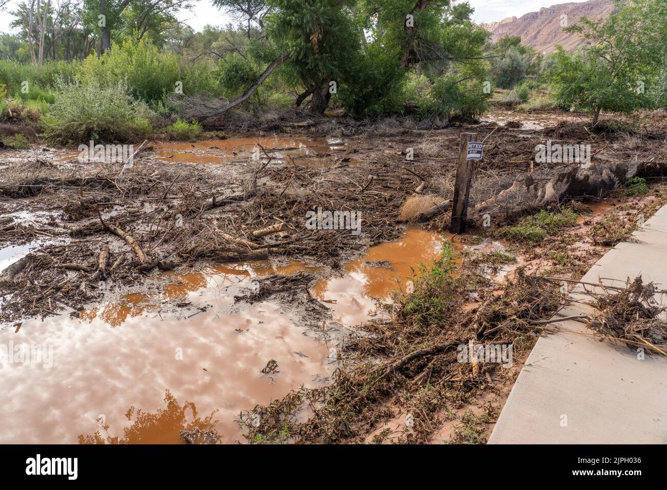 Damage caused by flash flooding after vegetation loss upstream after a ...