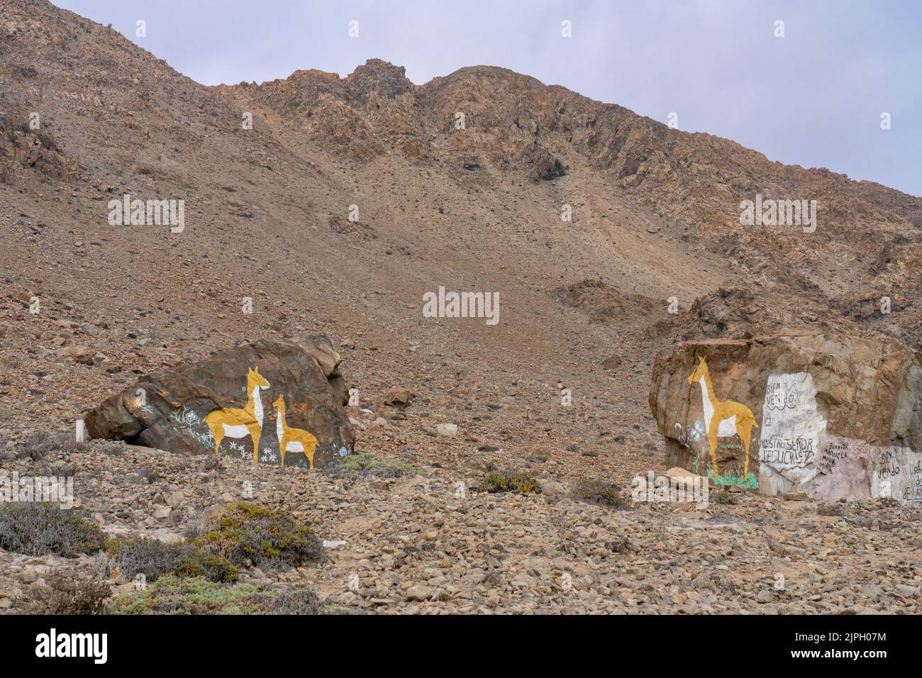 Folk art paintings of llamas on rocks in the Atacama Desert near Pan de ...