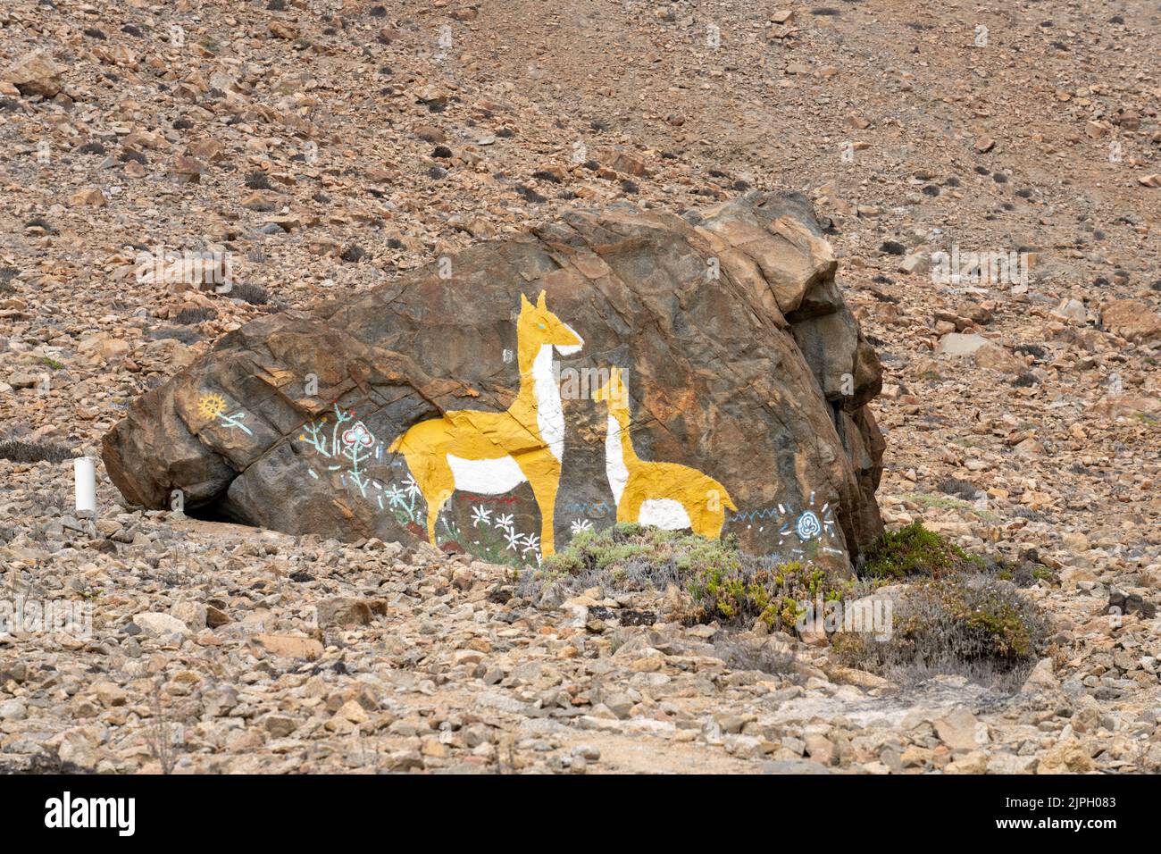 Folk art paintings of llamas on rocks in the Atacama Desert near Pan de ...