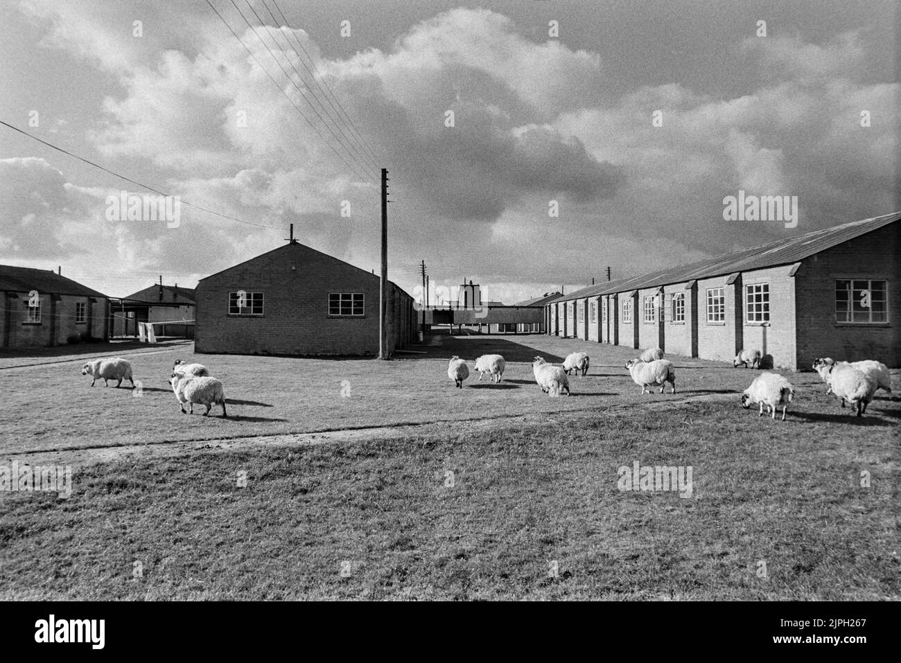Plasterdown Camp Dartmoor Devon where Ugandan Asian refugees were ...
