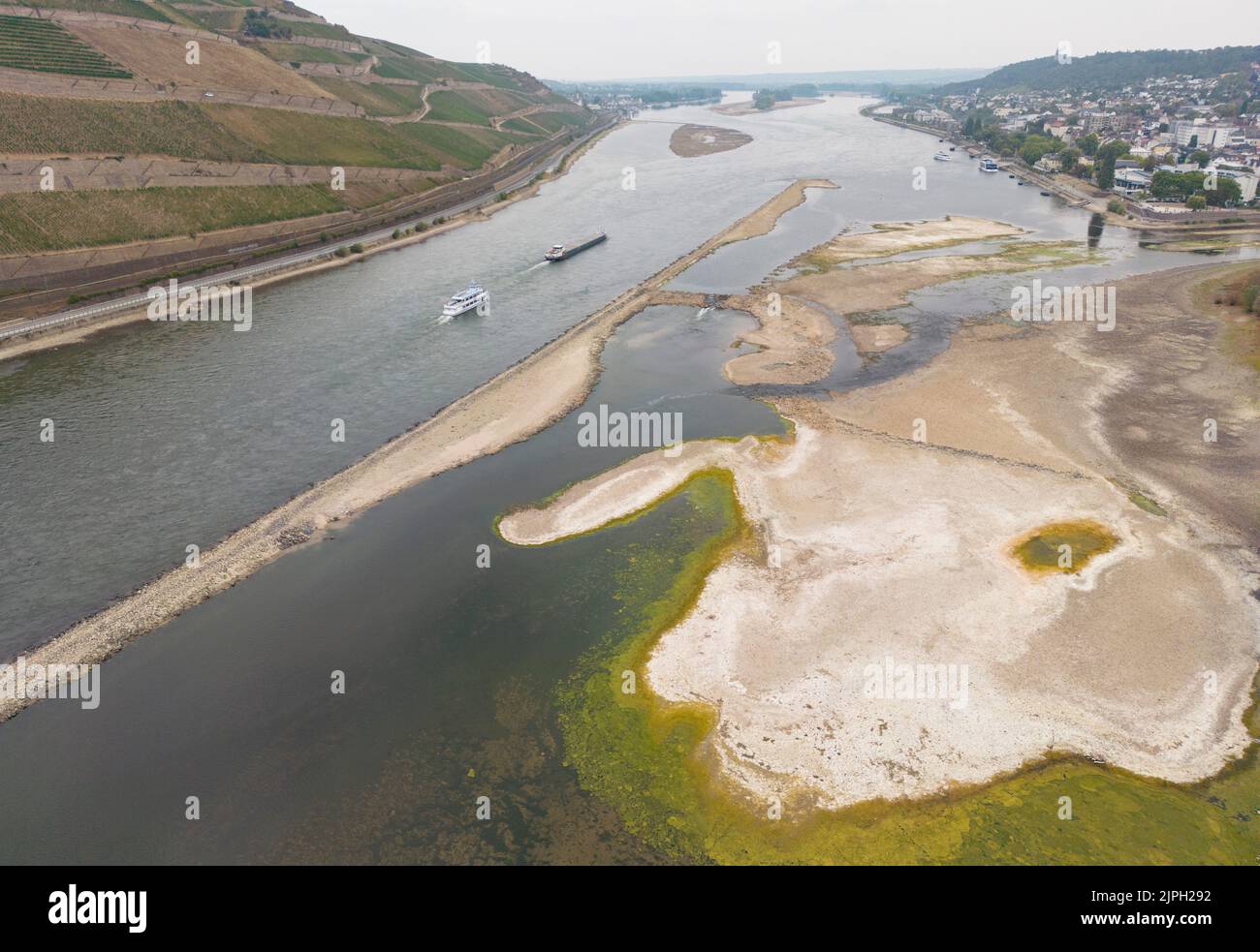 Bingen, Germany. 18th Aug, 2022. The water level of the Rhine at the ...