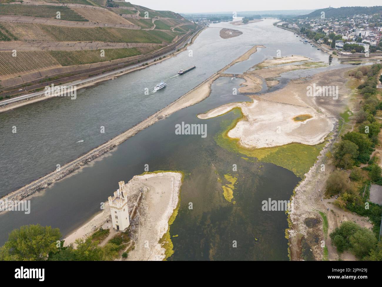 Bingen, Germany. 18th Aug, 2022. The water level of the Rhine at the ...