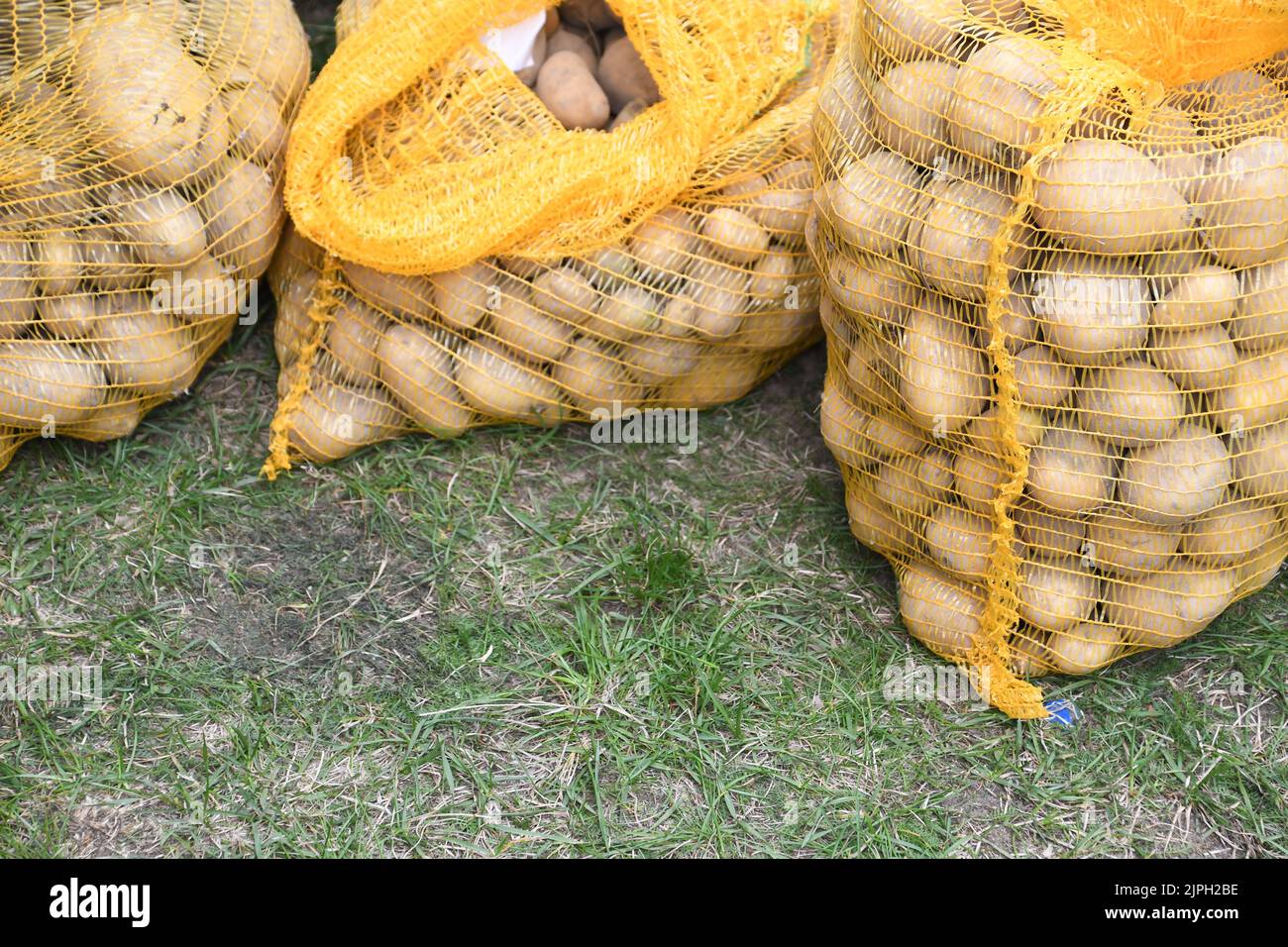 potatoes, potato sack, potato sacks Stock Photo - Alamy