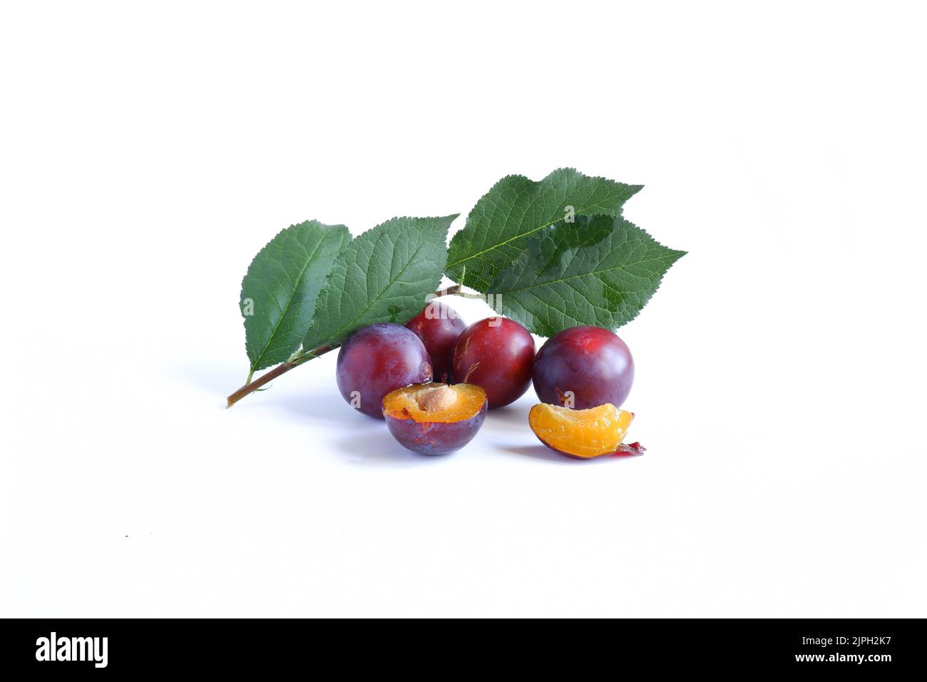Plum branch with leaves and ripe fruits Stock Photo - Alamy