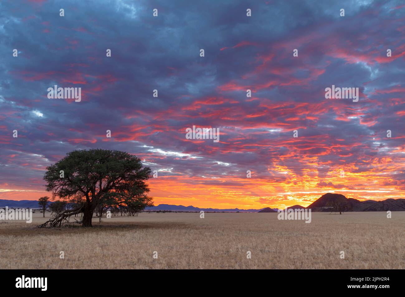 Sun color clouds yellow and pink before sunrise Greenfire Desert Lodge ...