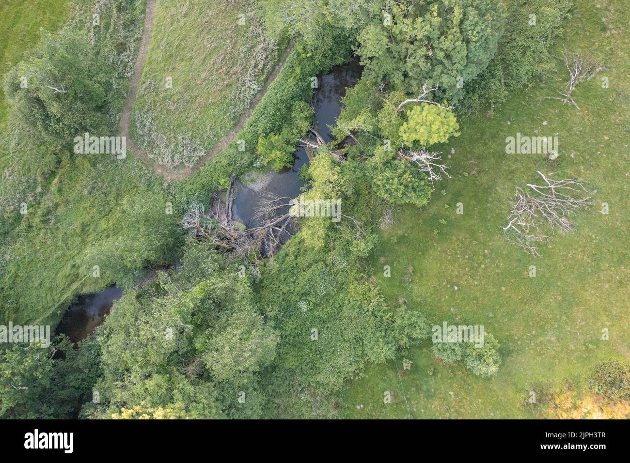 Aerial view of fallen trees in the Afon Cynin, Carmarthenshire, Wales ...