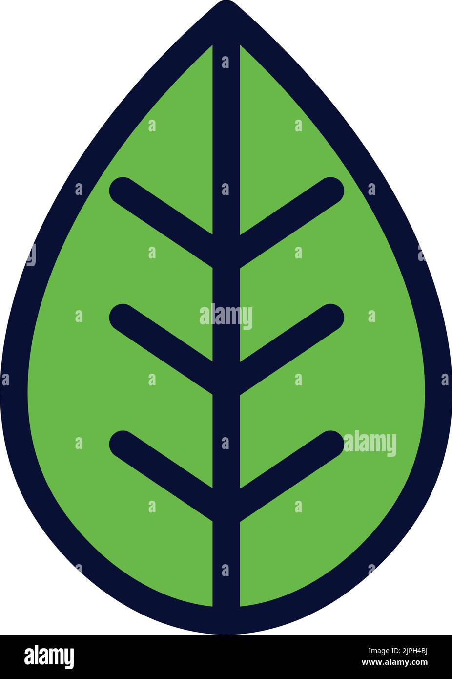 leaf cartoon icon Stock Vector Image & Art - Alamy