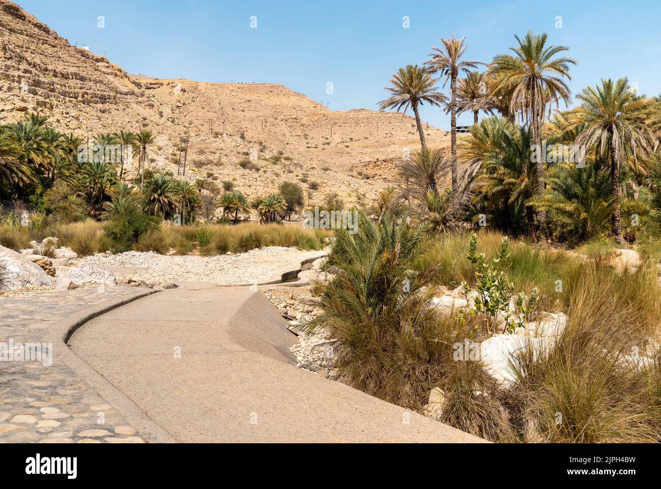 View of the Wadi Bani Khalid oasis in the desert in Sultanate of Oman ...