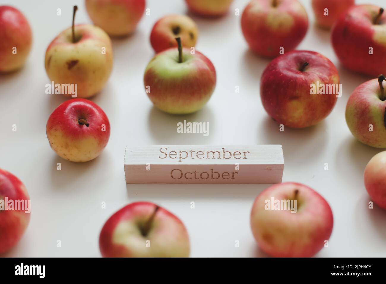 hello autumn card with fresh red apples on white background top view ...