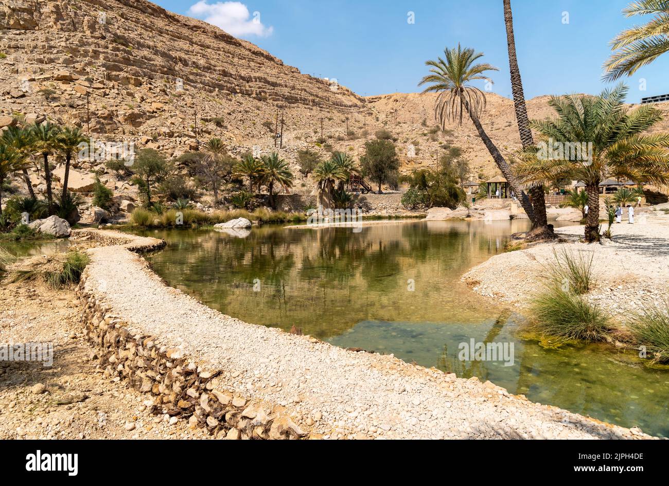 Arabian Peninsula Oasis