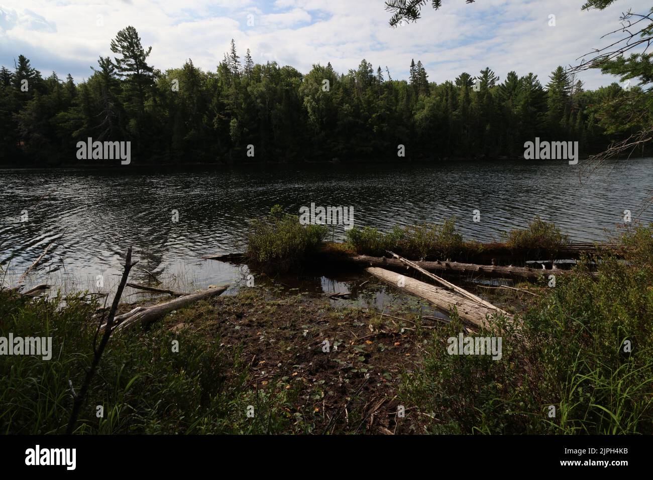 Lake in La Mauricie National Park, Quebec Stock Photo - Alamy