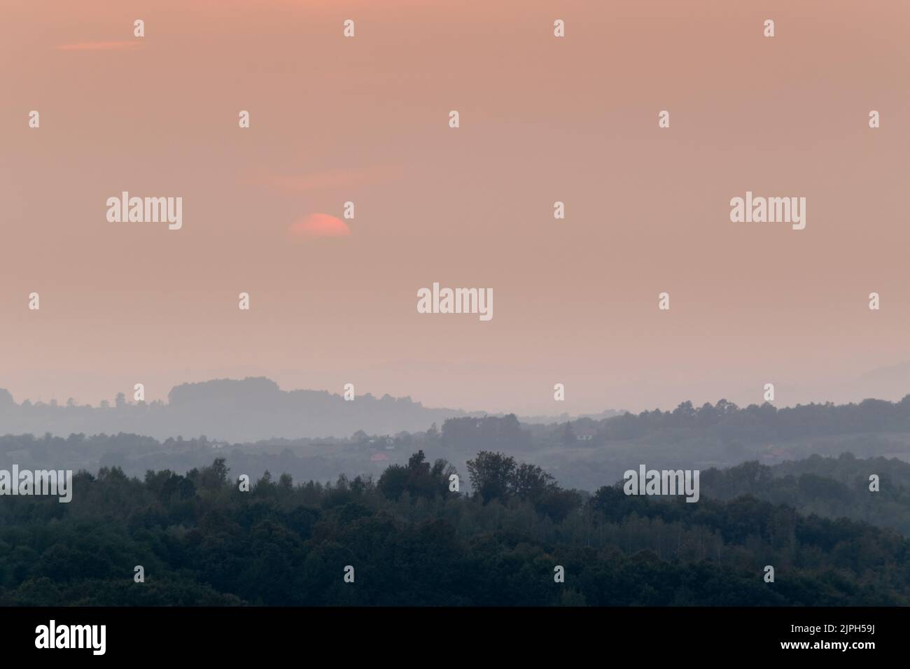 Atmospheric landscape scene of lush forest layers in mist during autumn ...