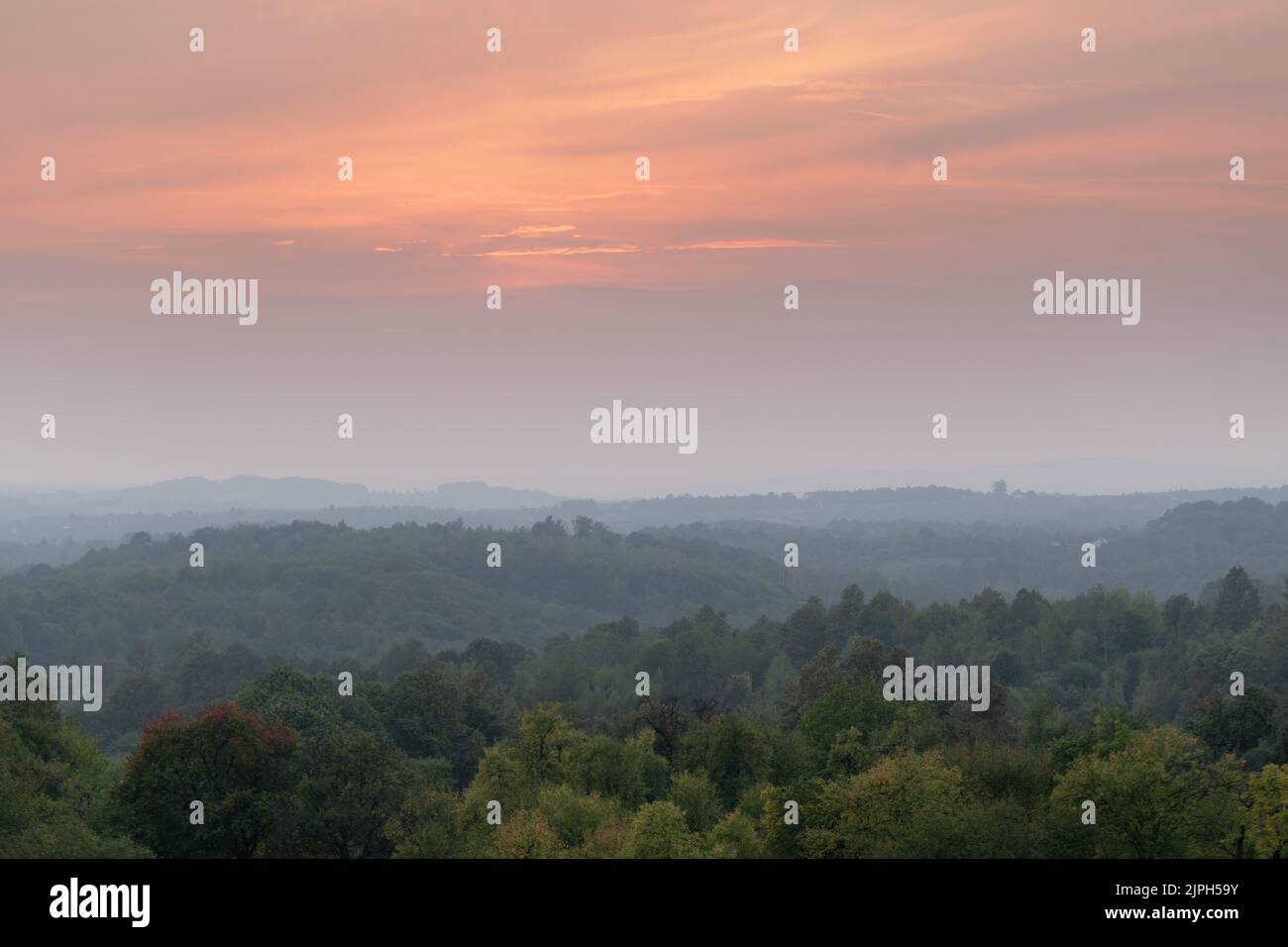Atmospheric landscape scene of lush forest layers in mist during autumn ...