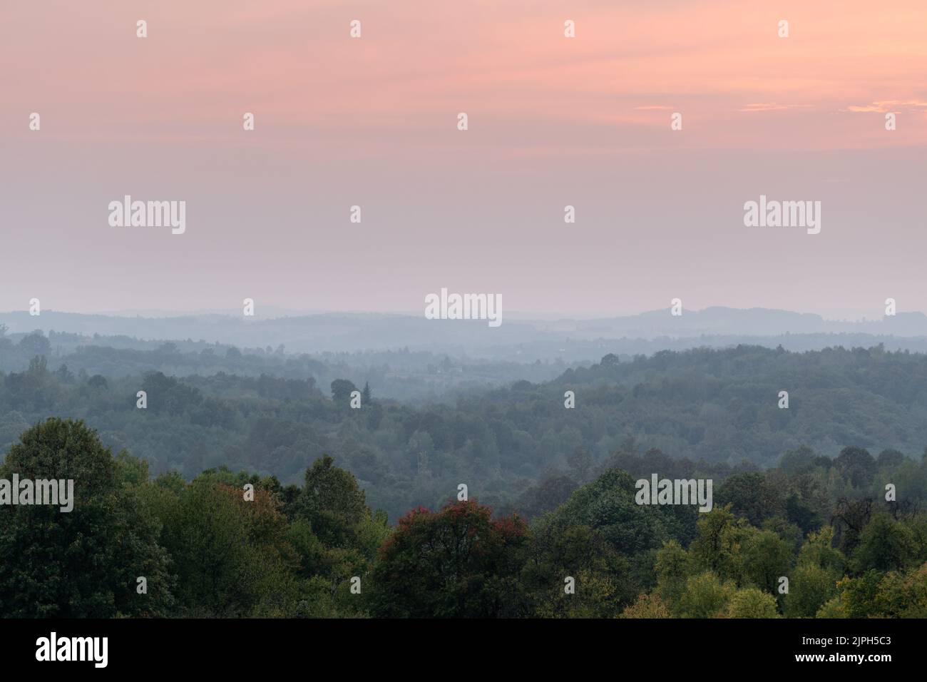 Atmospheric landscape scene of lush forest layers in mist during autumn ...