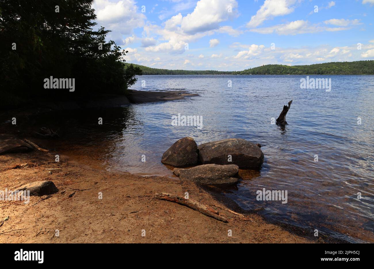 Small lakeside beach in Algonquin National Park, Ontario Stock Photo ...