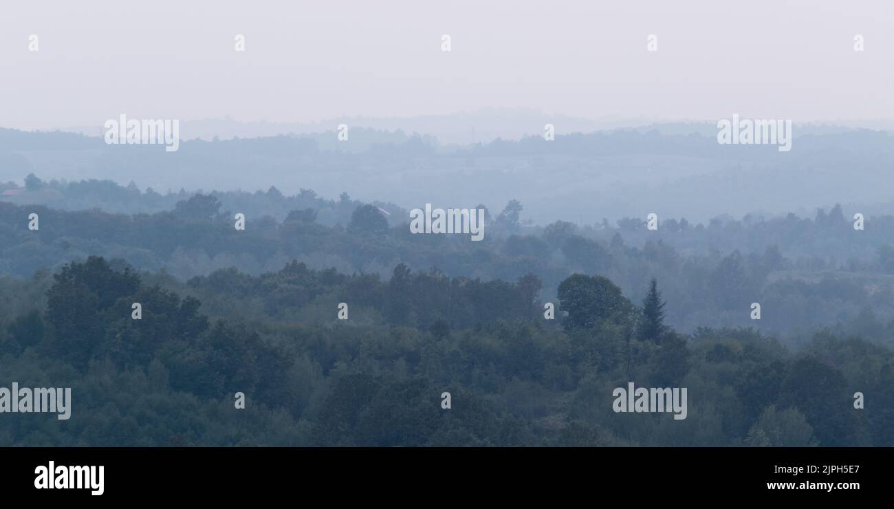 Atmospheric scene of lush forest layers in mist during autumn dusk in ...