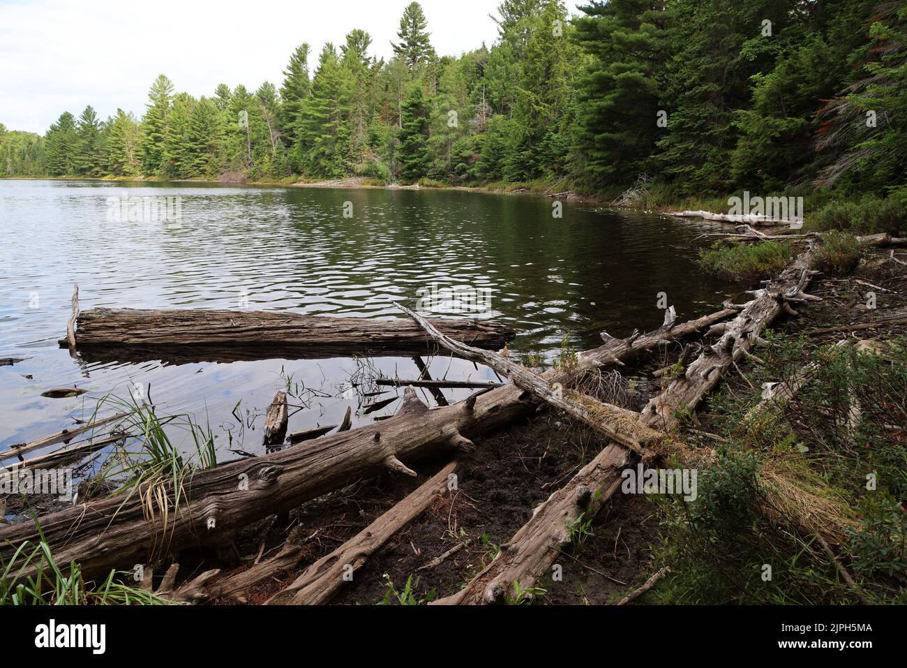 De la mauricie hi-res stock photography and images - Alamy