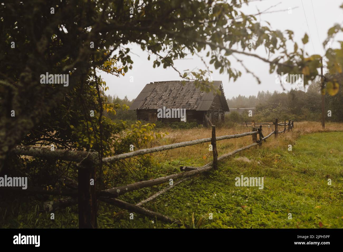 scenic image of picturesque rural nature in countryside in early autumn ...