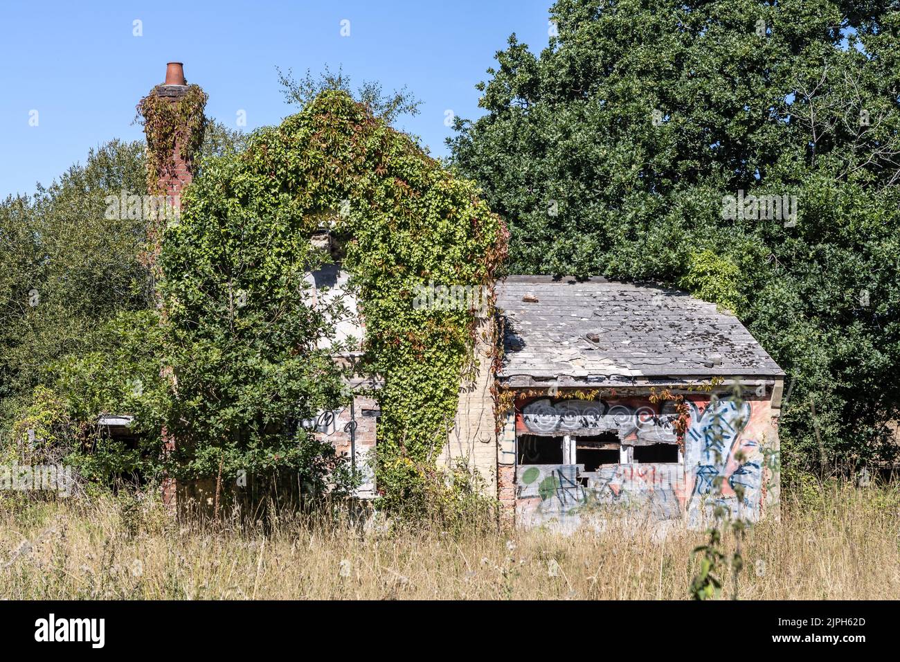 Derelict building, Bovington wood, summertime, Bovington, Dorset, UK ...