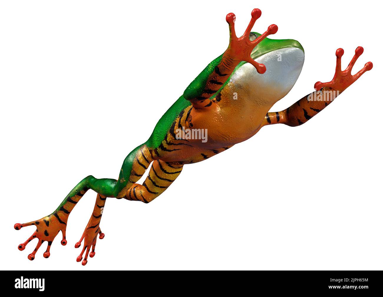 3D rendering of an Amazon tree frog isolated on white background Stock ...
