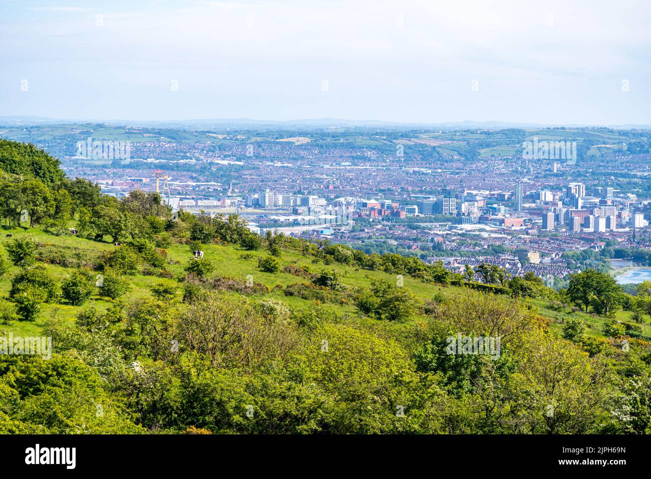 A view of Belfast from Cave Hill, in Northern Ireland, UK Stock Photo ...