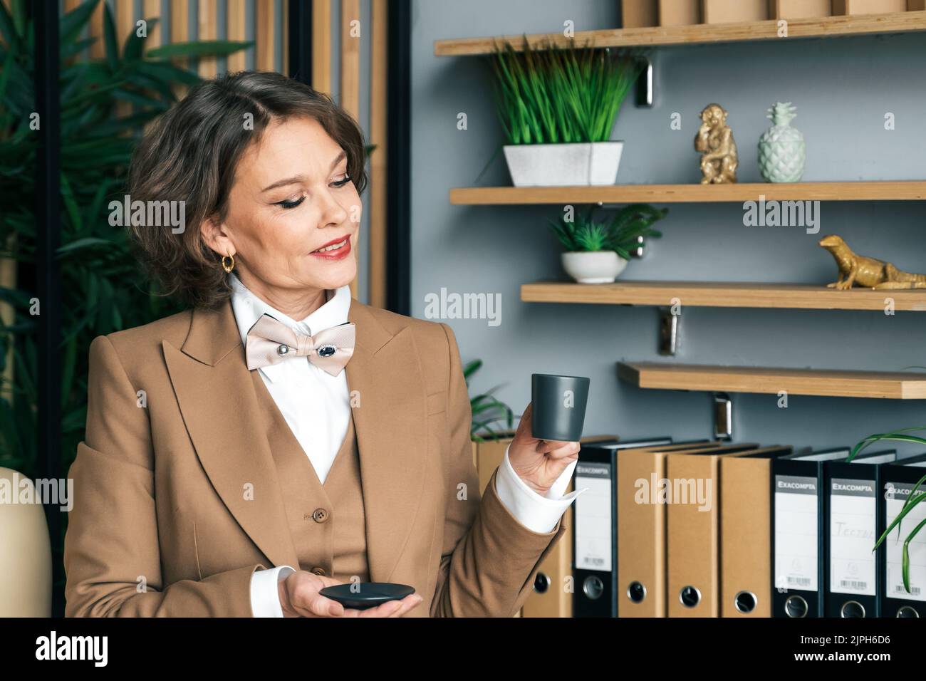 Confident stylish mature middle aged elderly woman in office. General ...