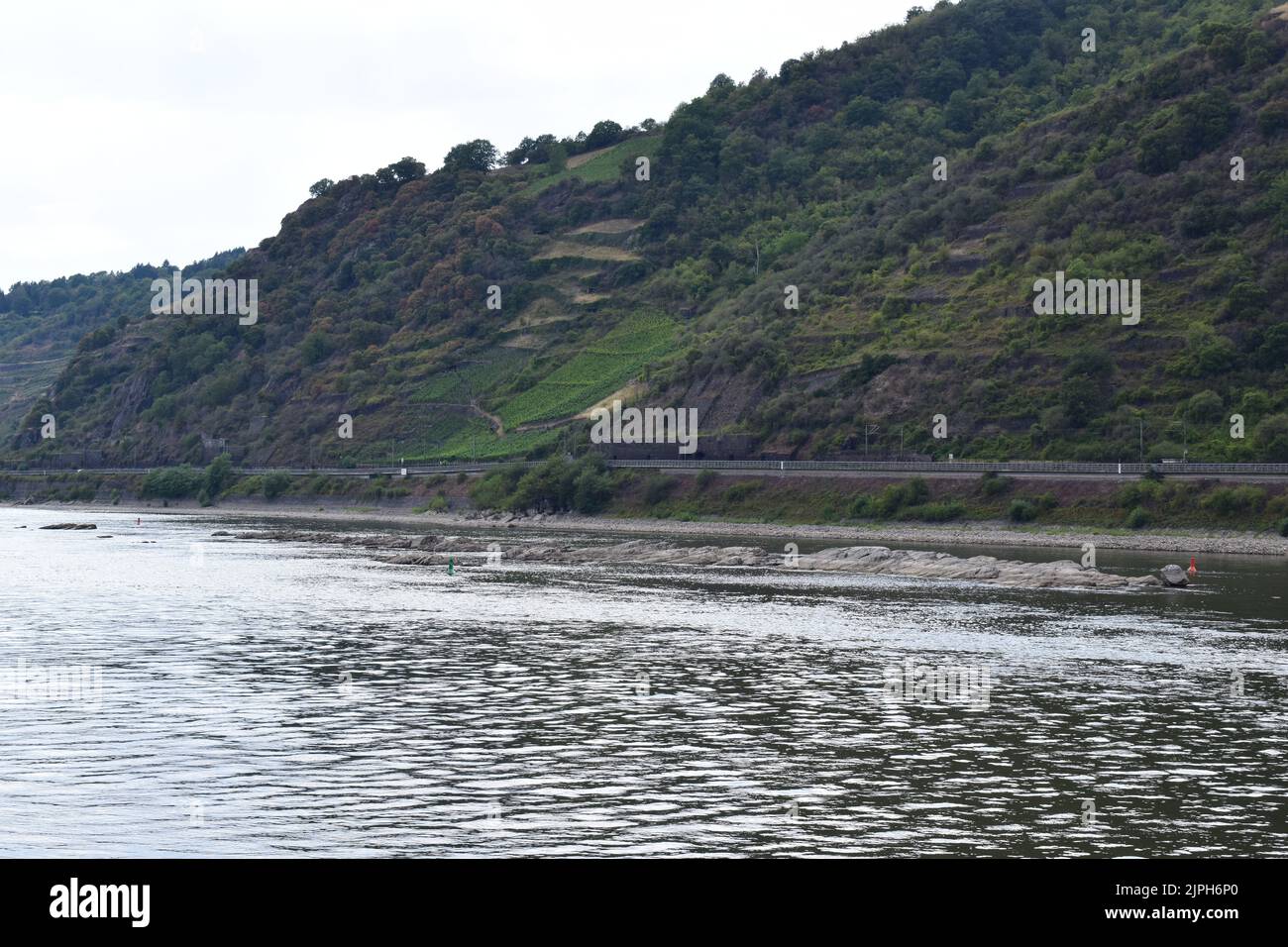 The reefs in the Rhine south of Loreley, in drought dangerous rocks ...
