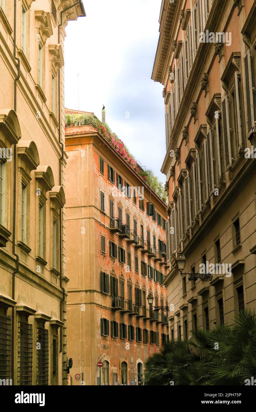 A vertical shot of a narrow street with yellowish buildings. Rome ...