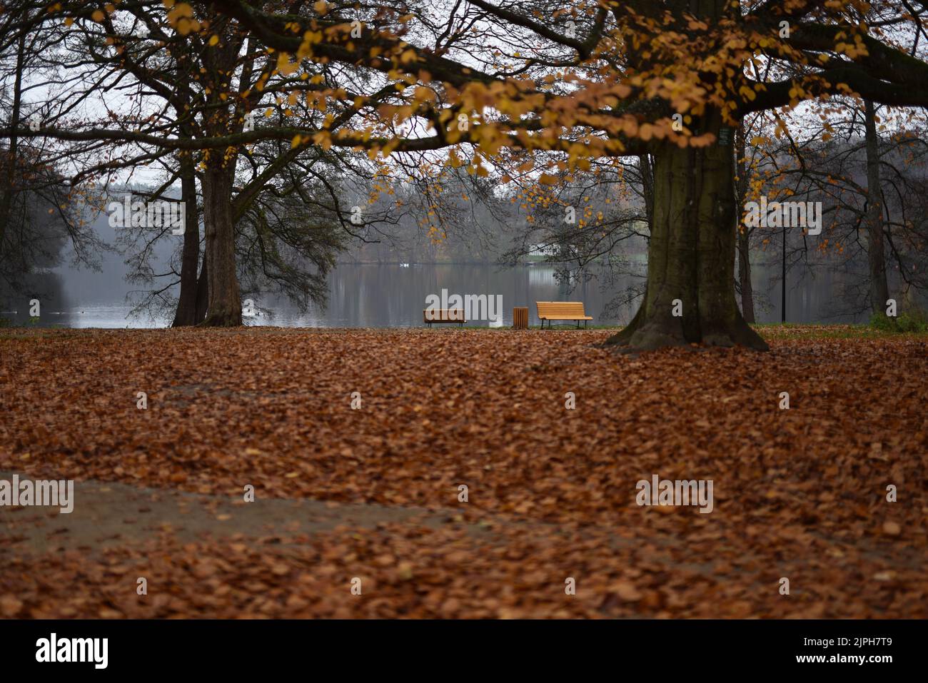 A beautiful shot of a park and a lake in the afternoon in fall Stock ...