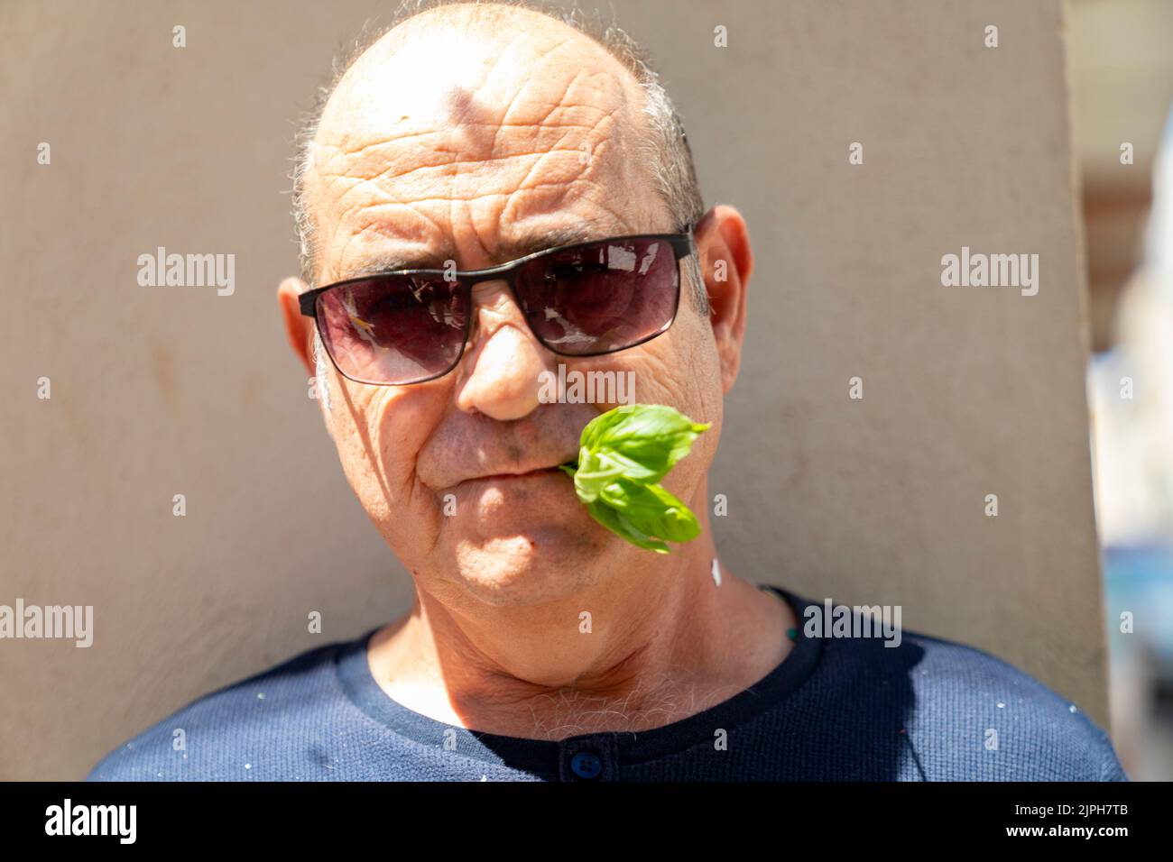 A man holds some Alfabega (basil) leaves in his mouth during the parade ...