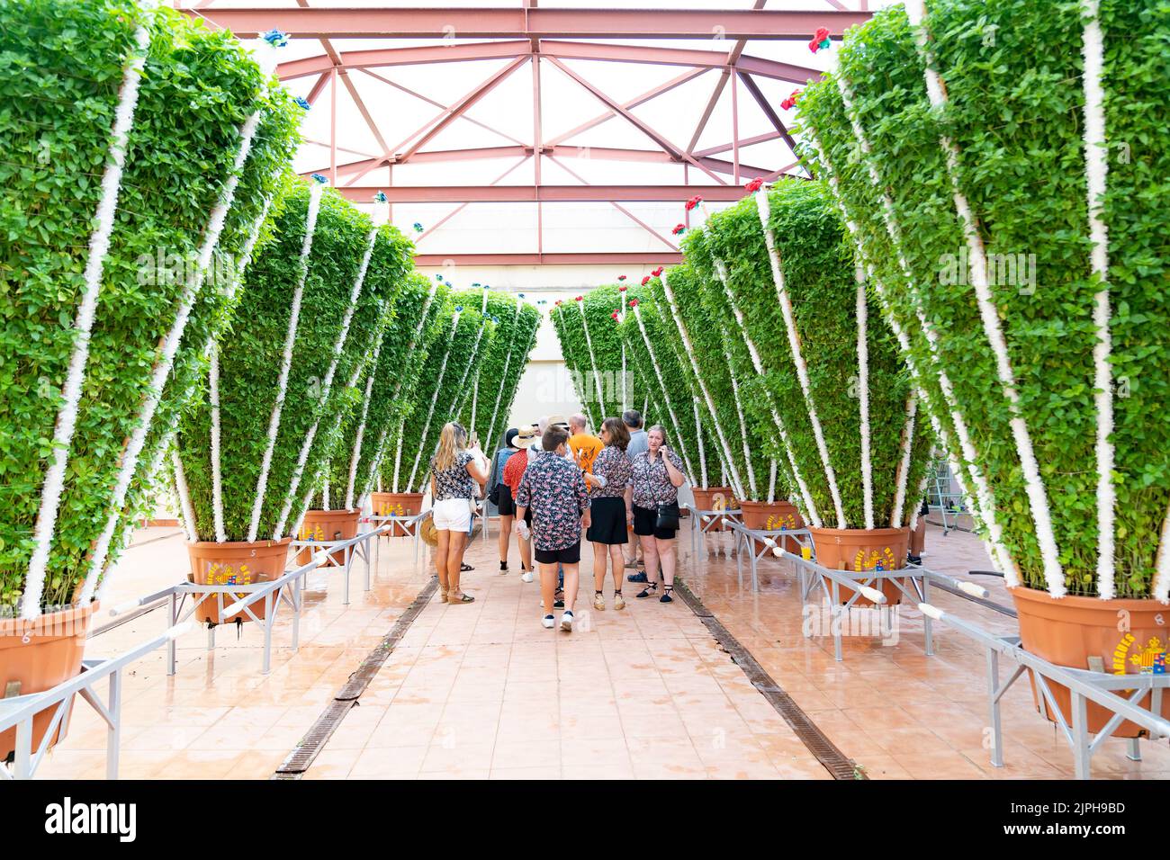 Betera, Valencia, Spain. 15th Aug, 2022. General view of the orchard ...