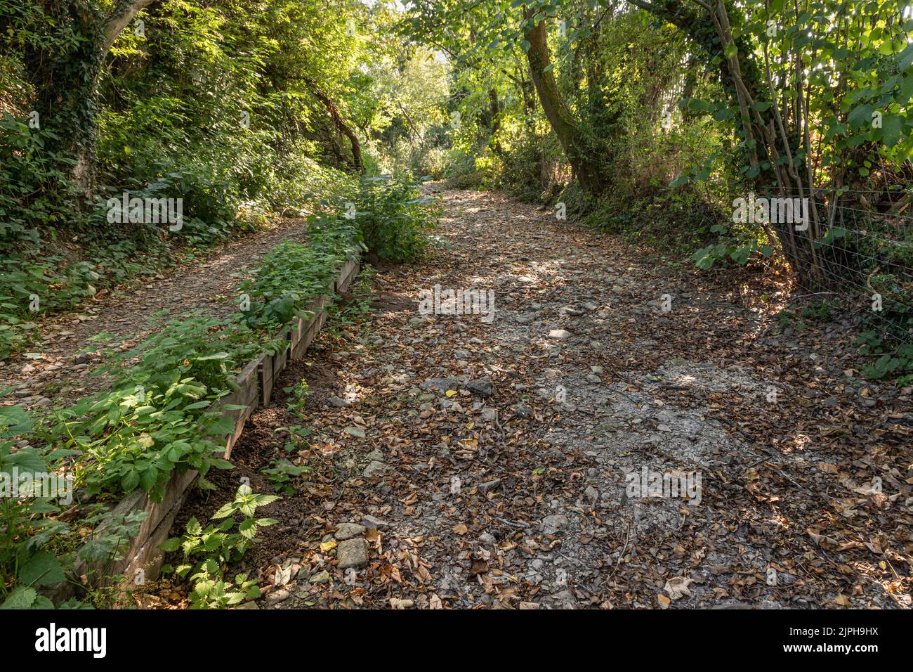 Dried up stream bed with adjoining footpath Stock Photo - Alamy