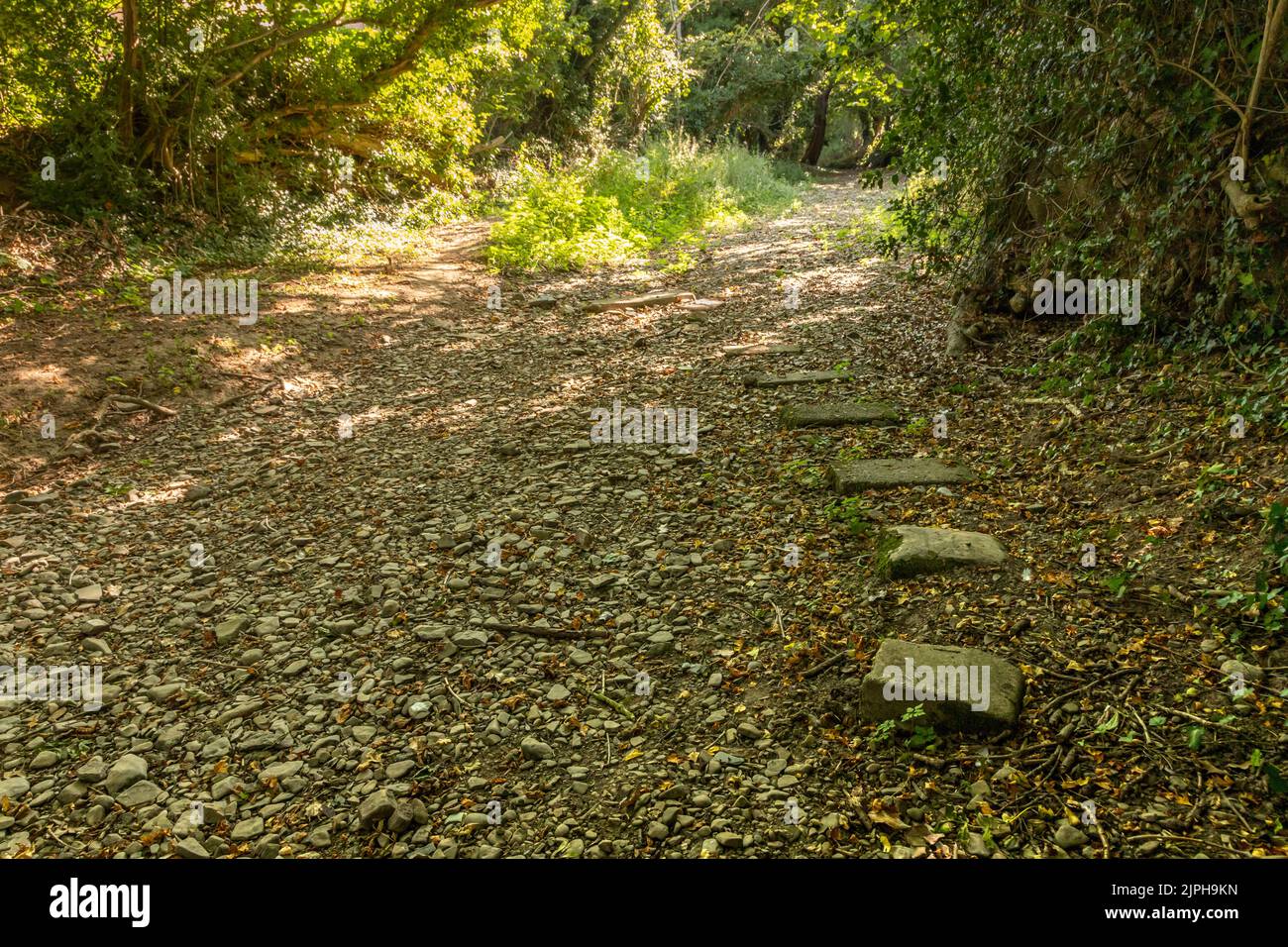 Dried up stream bed with a row of stepping stones Stock Photo - Alamy