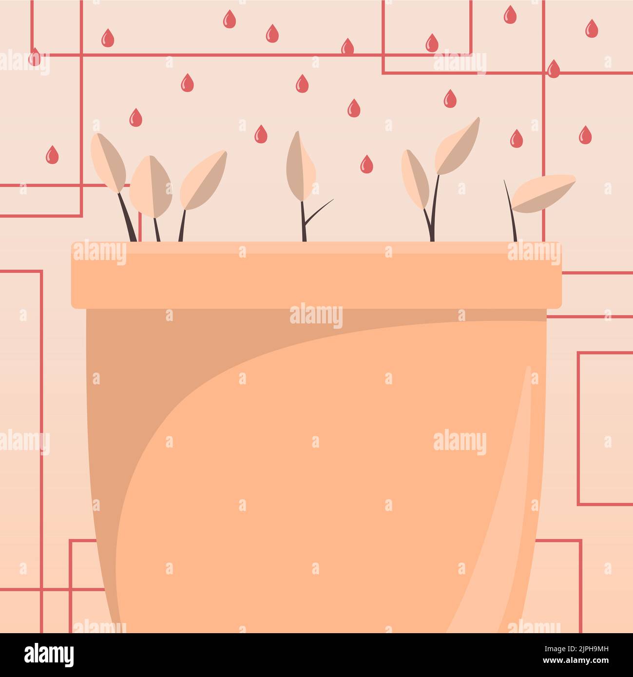 Flower Vase With Herbs Watered By Drops From Top. Liquid Being Poured ...