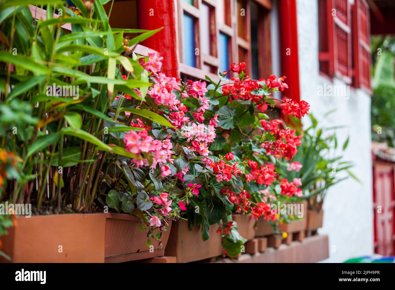Beautiful traditional Colombian house at the rural area decorated with ...