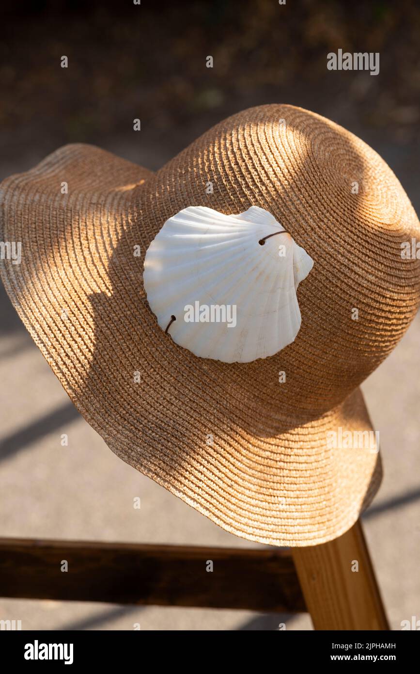 Shell Upon his Hat, Sign of Pilgrimage of Santiago de Compostella Stock ...