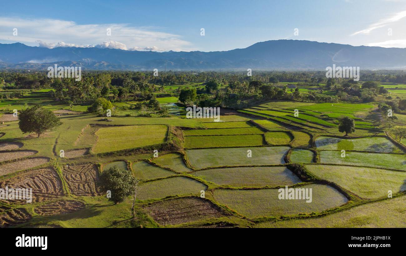 Worlds rice fields hi-res stock photography and images - Alamy