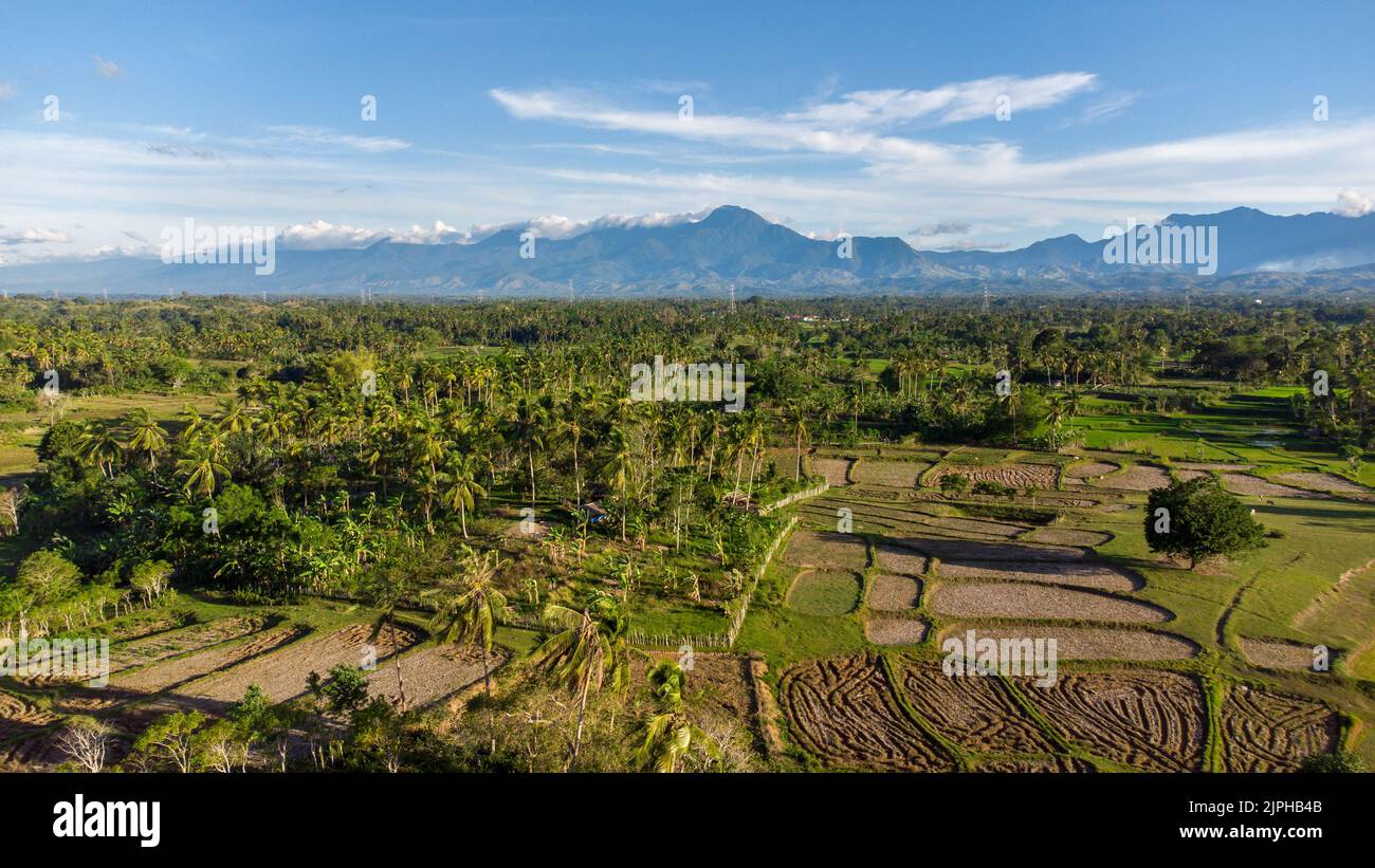 Aerial view of rice fields, Aceh, Indonesia Stock Photo - Alamy