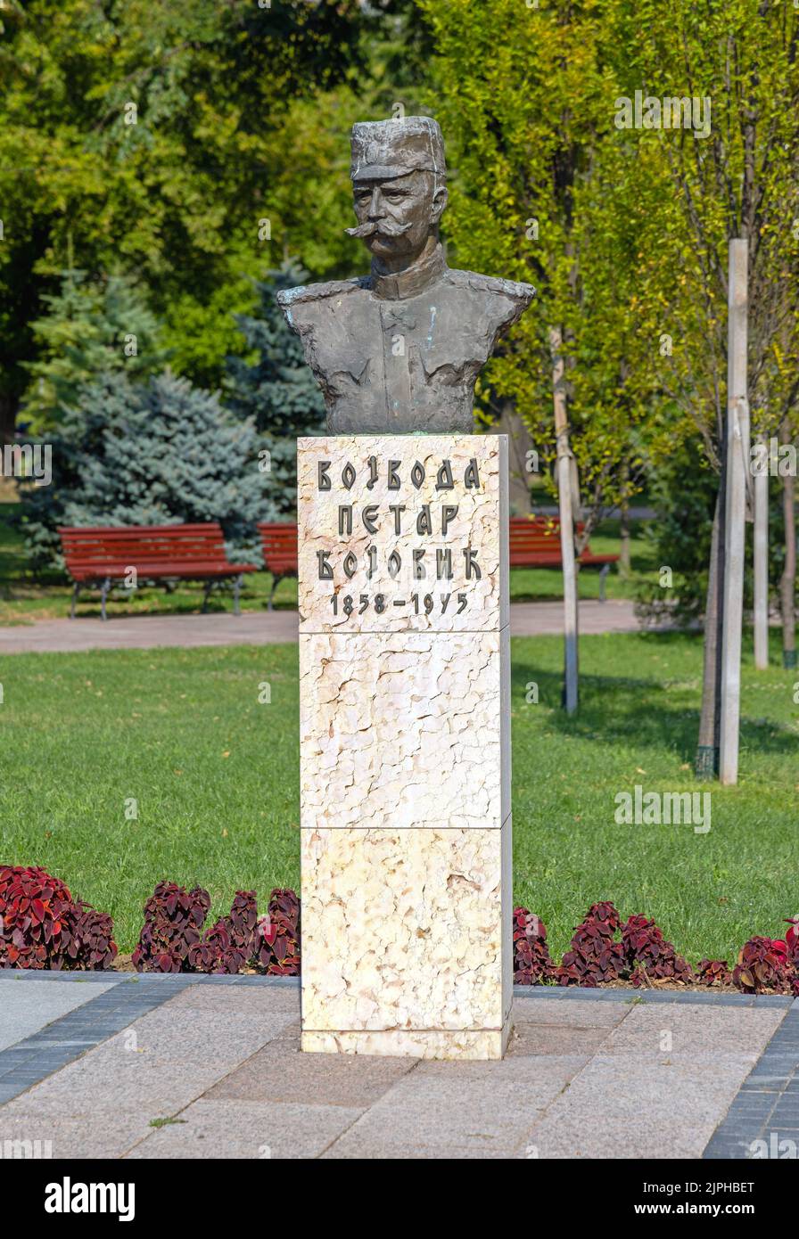 Nis, Serbia - August 04, 2022: Bronze Bust of Duke Petar Bojovic ...