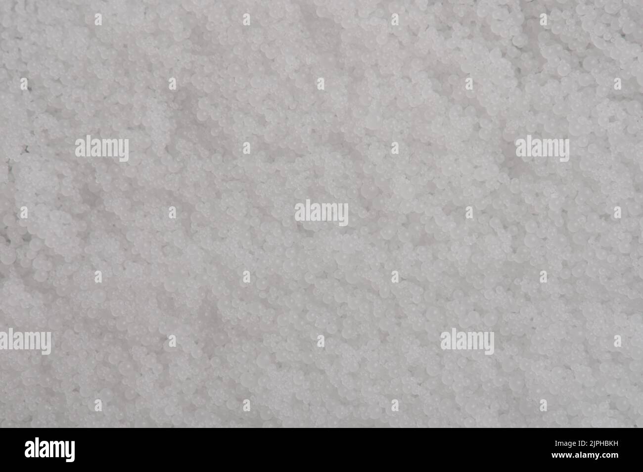 White balls granules texture pattern background macro close up view ...