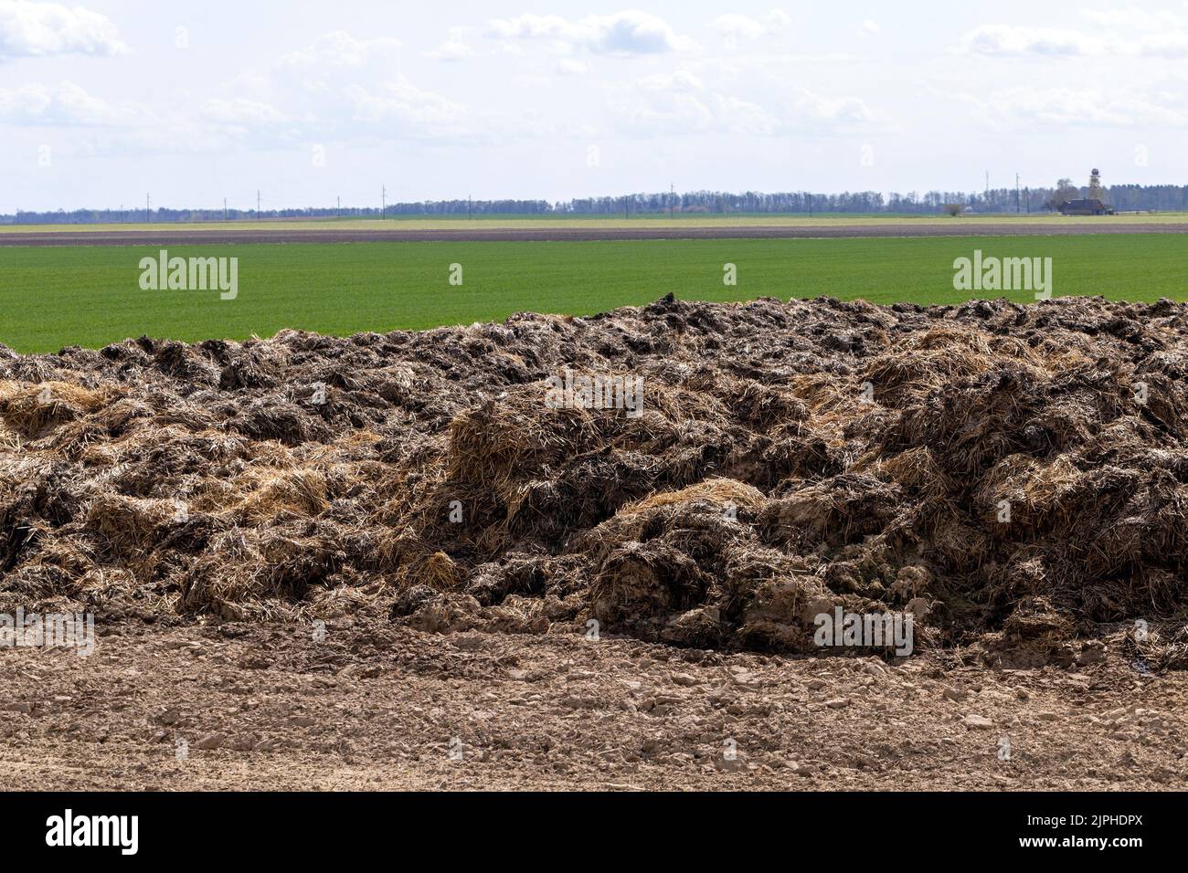 piles of humus manure on the field to fertilize the field territory ...
