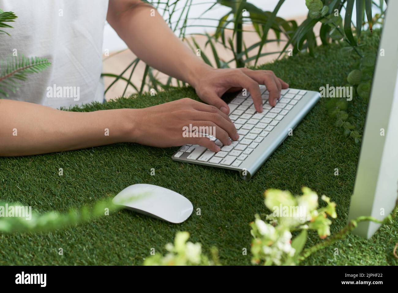Hands of person working on computer in office Stock Photo - Alamy