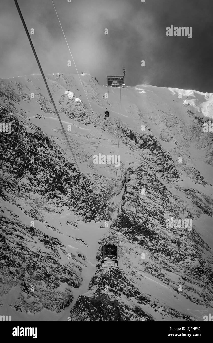 Snow covered forest landscape during Black and White Stock Photos ...