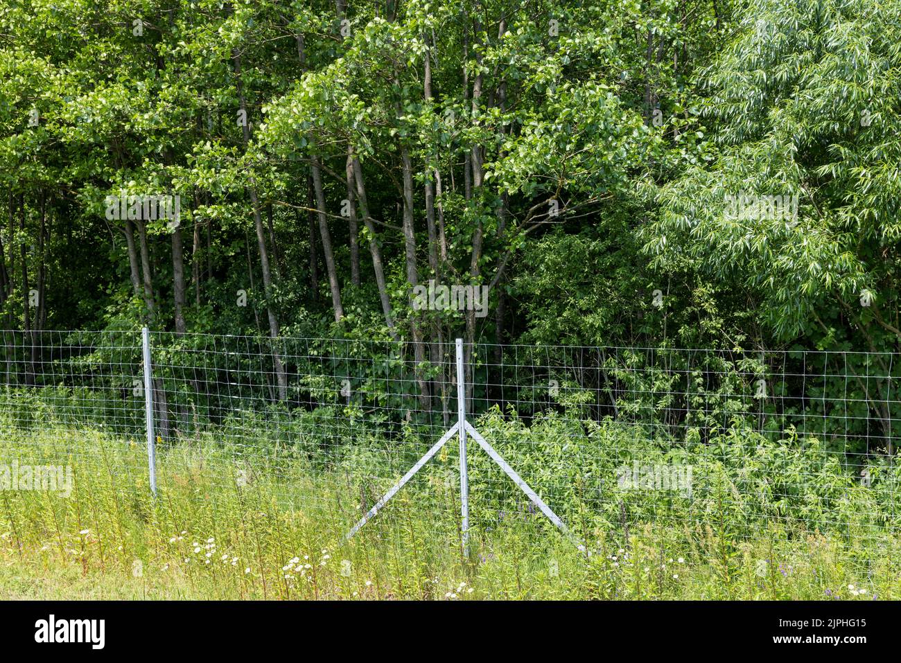 Metal fences for animal protection, an iron fence near the expressway ...