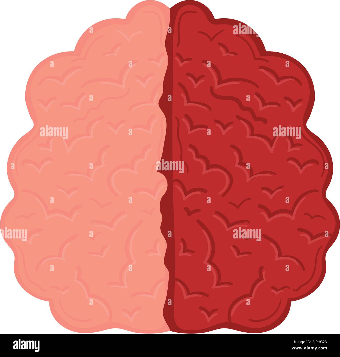 brain organ icon Stock Vector Image & Art - Alamy