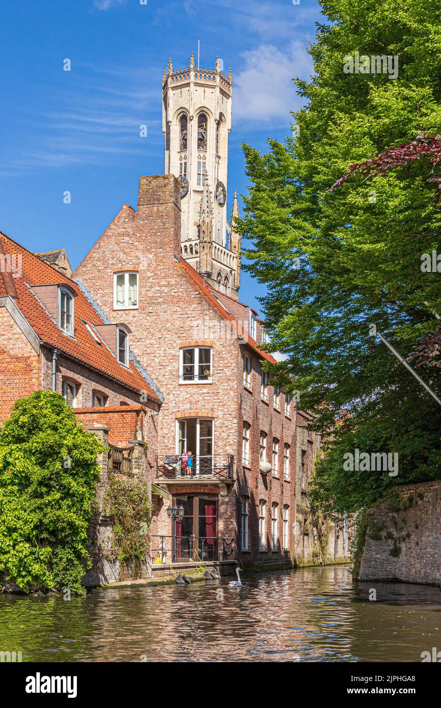 Traditional architecture including the Belfry (Belfort Tower) in Bruges ...