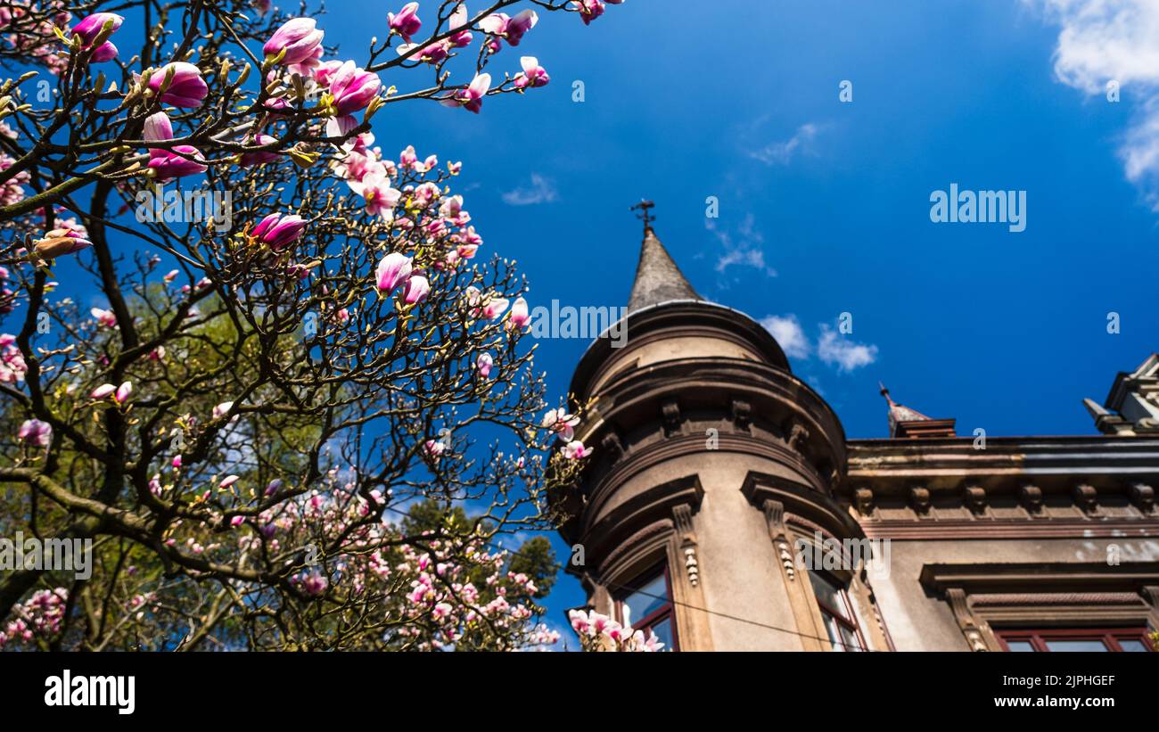 Magnolia building hi-res stock photography and images - Alamy